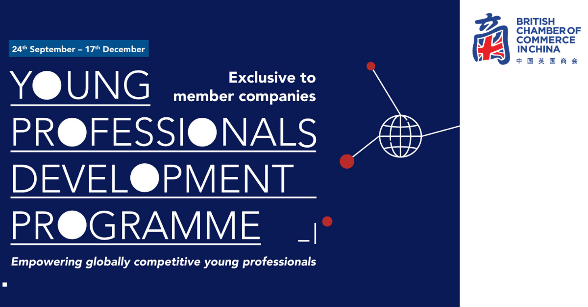 Young Professionals Development Programme 2019 - British Chamber of ...